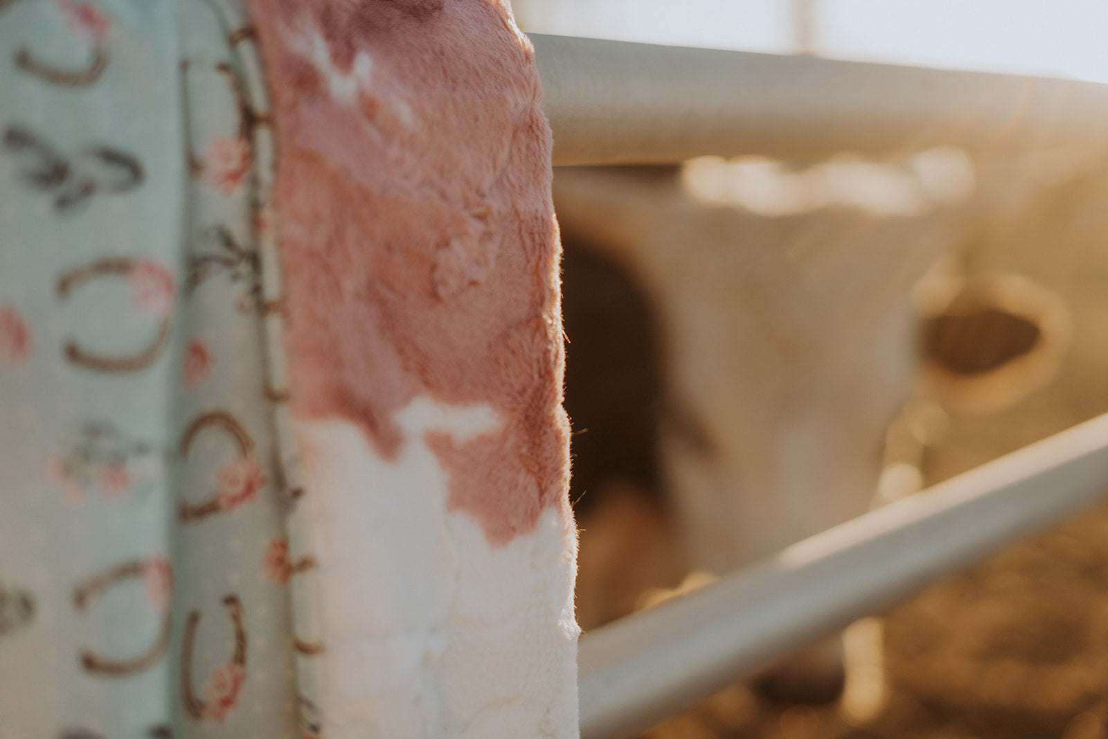 Corazon Ranch – corazonranch